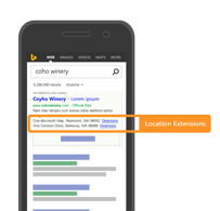 The Complete Guide to Microsoft's Ad Extensions